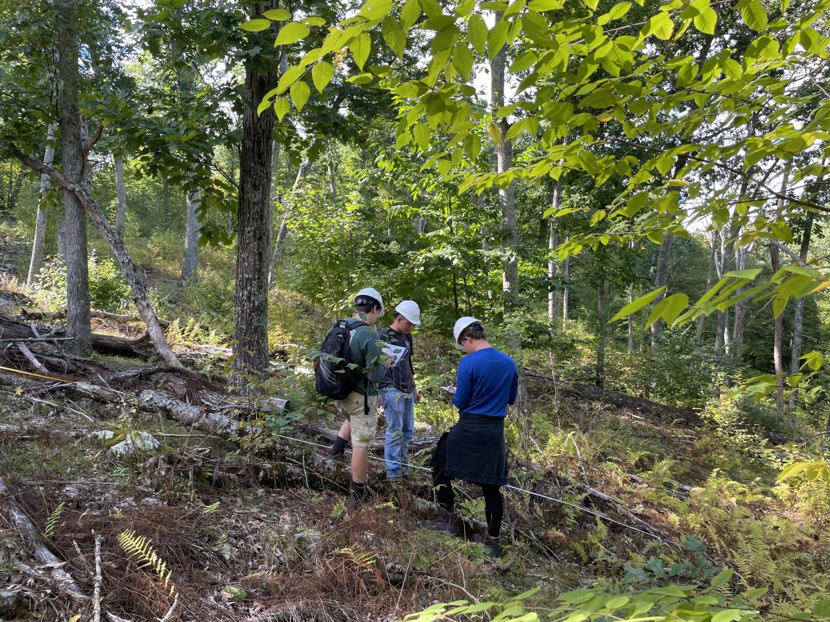 Home | UConn Forest | Department of Natural Resources and the ...