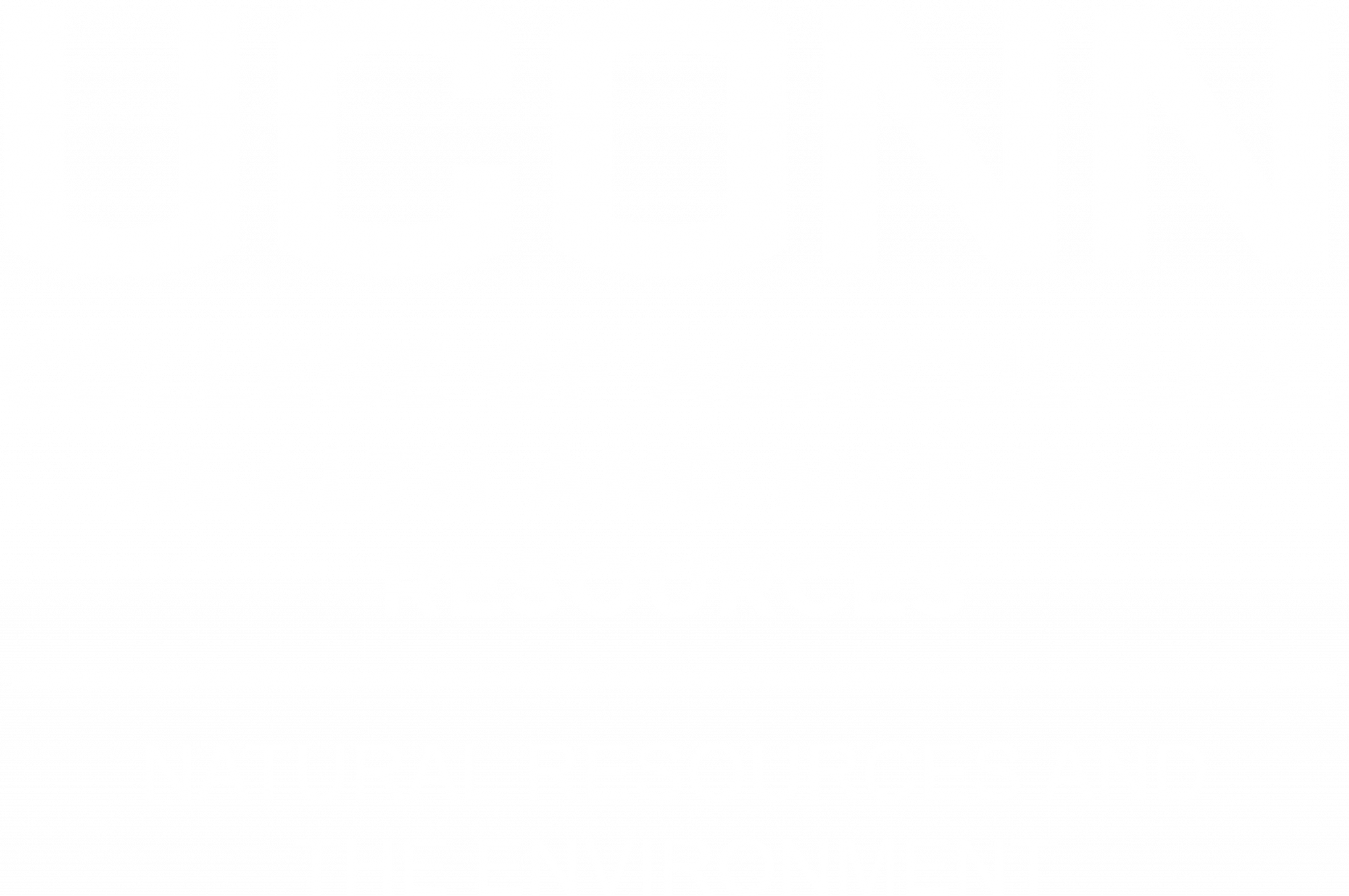 Home | UConn Forest | Department of Natural Resources and the ...